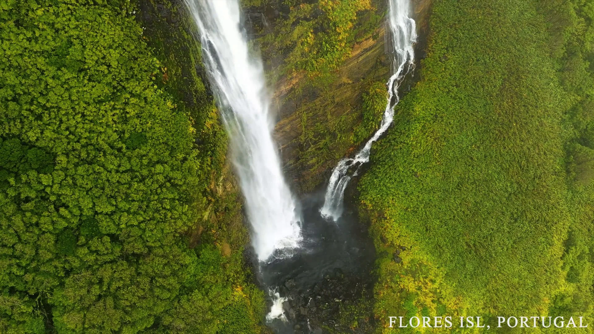 THE POWER OF NATURE 8K - OLED Demo 8K ULTRA HD » 4K-HD.Club: Download Movies 4K
